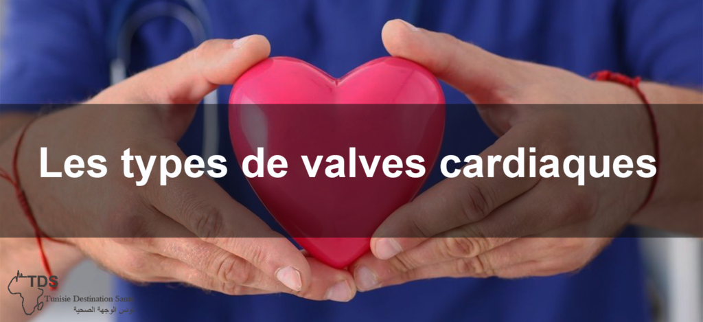 Comment fonctionnent les valves cardiaques